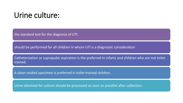 urinary tract infection in pediatrics | PPTX | Infectious Diseases ...