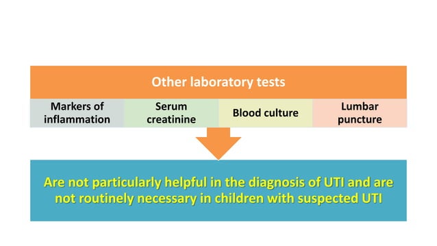 urinary tract infection in pediatrics | PPTX | Infectious Diseases ...