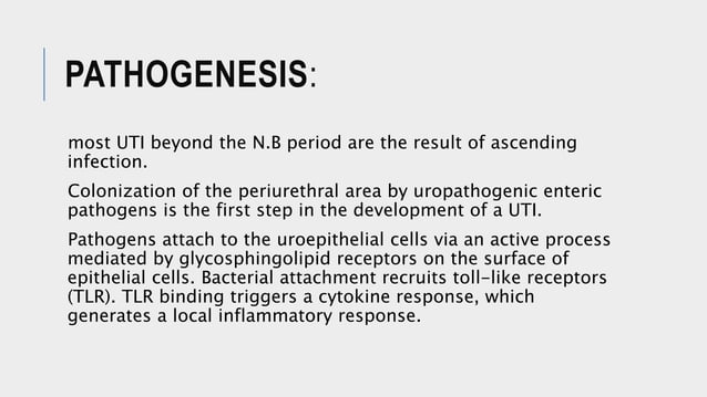 urinary tract infection in pediatrics | PPTX | Infectious Diseases ...
