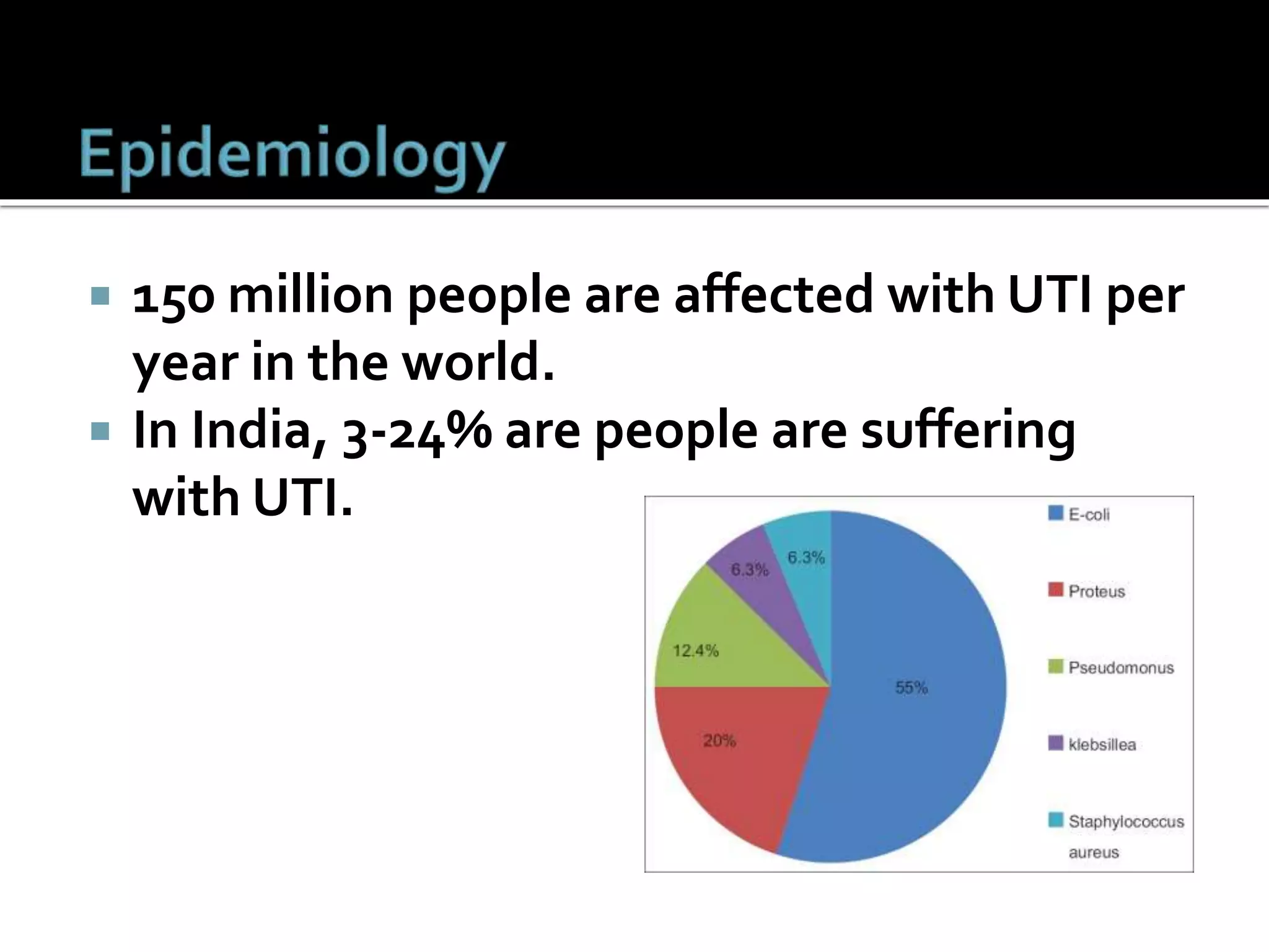 Urinary Tract Infection | PPTX