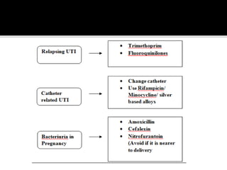 Urinary Tract Infection | PPTX