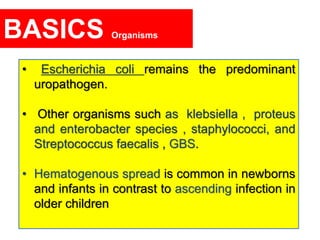 urinary tract infection | PPT