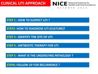 urinary tract infection | PPT