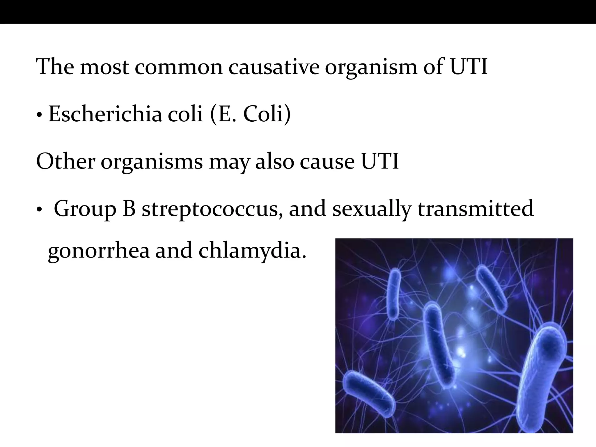 urinary tract infection during pregnancy | PPTX