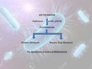 Urinary tract infection and its treatment | PPTX