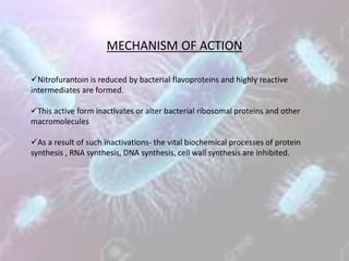 Urinary tract infection and its treatment | PPTX