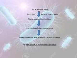 Urinary tract infection and its treatment | PPTX