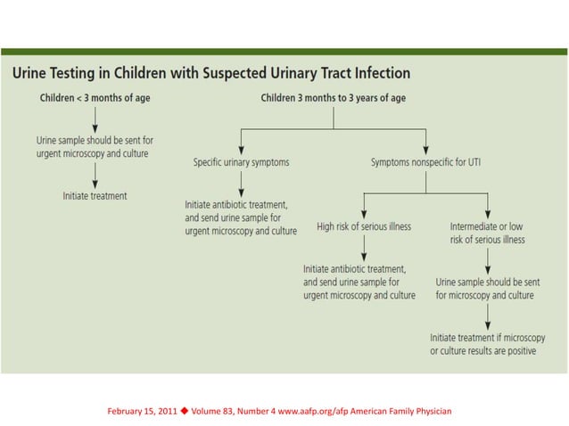 pediatric Urinary tract infection | PPTX