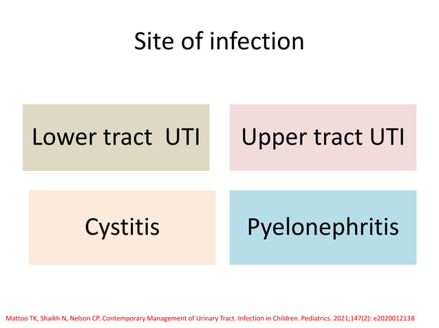 pediatric Urinary tract infection | PPTX