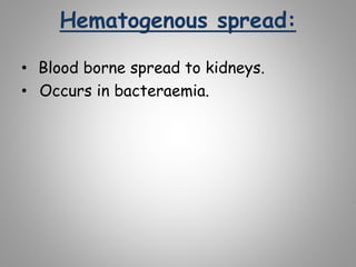 UTI.pptx