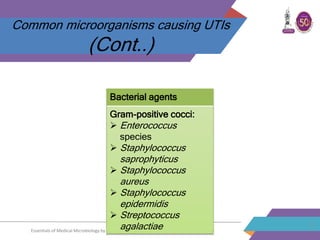 UTI.pptx
