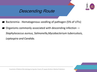 UTI.pptx