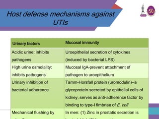 UTI.pptx
