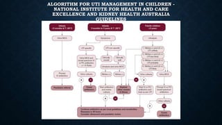 UTI.pptx