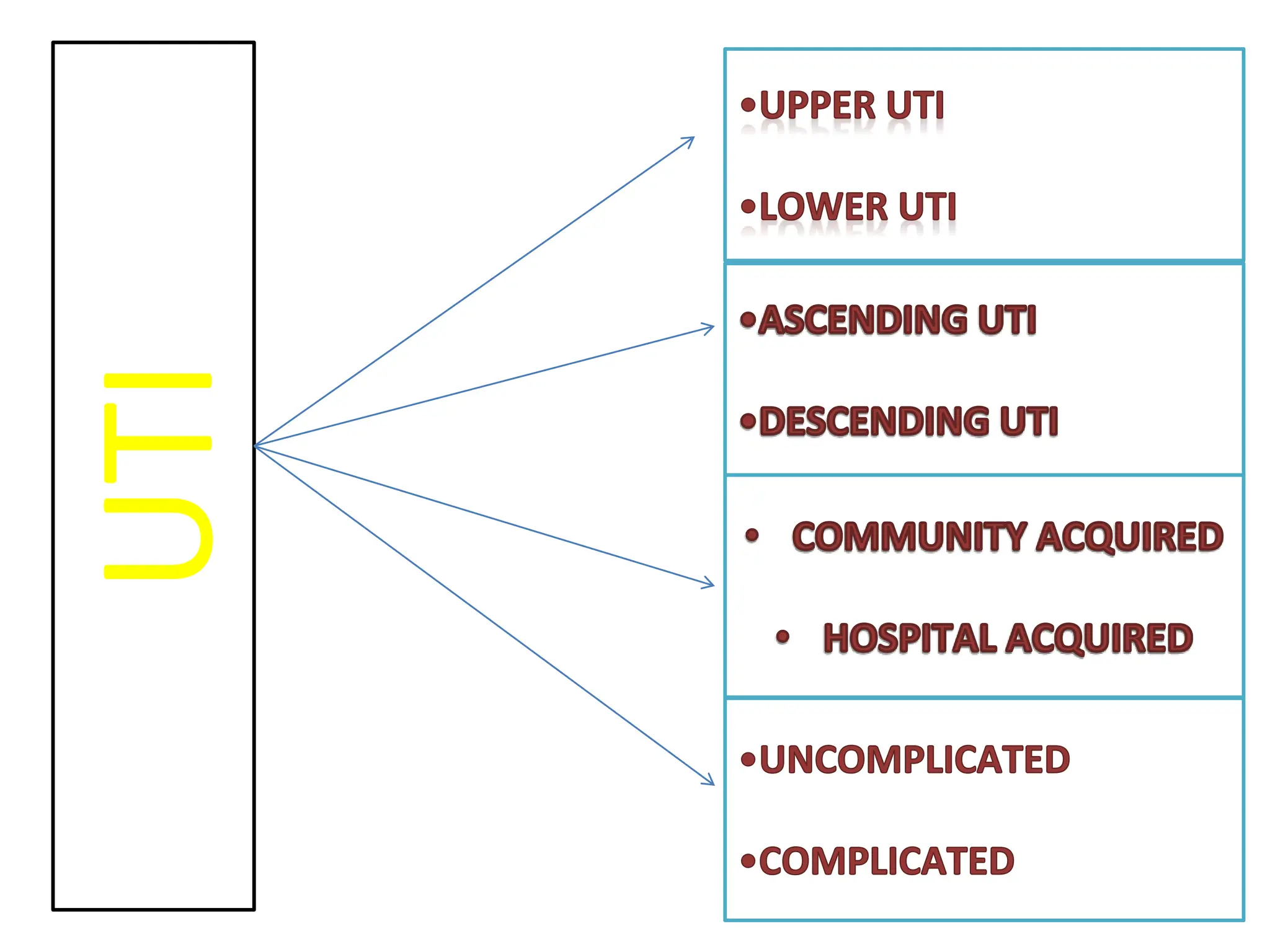 UTI.pptx for educational purposes for students | PPT