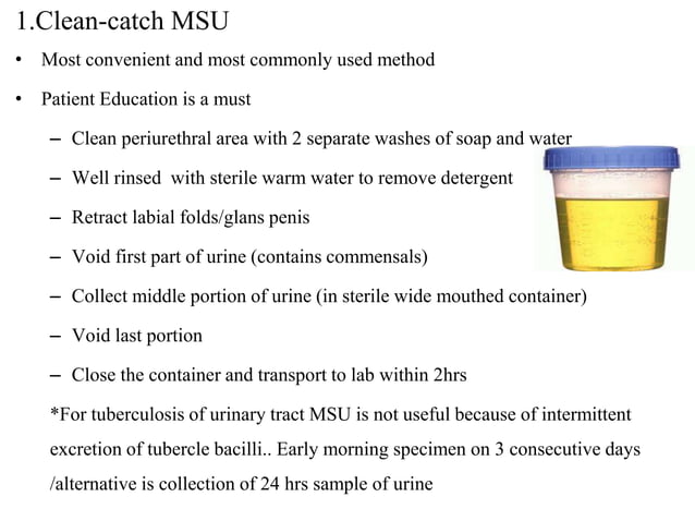 UTI.pptx for educational purposes for students | PPT