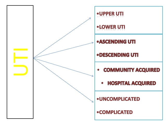 UTI.pptx for educational purposes for students | PPT