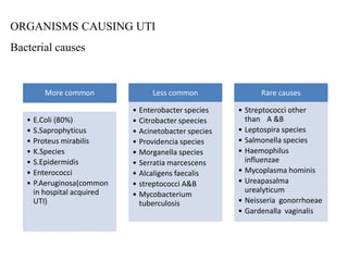 UTI.pptx for educational purposes for students | PPT