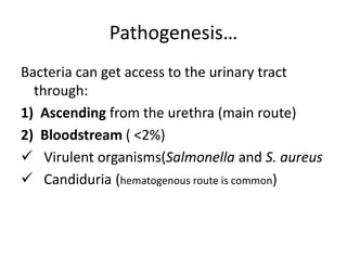 UTI power point about urinary tract infection .pptx