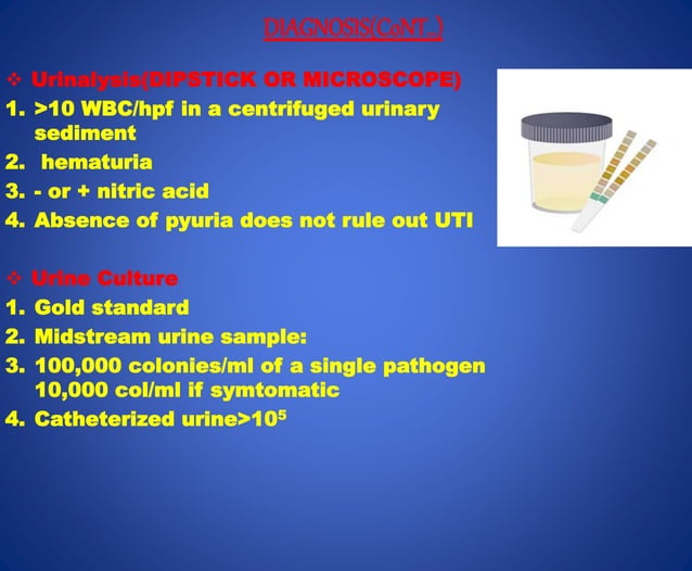 PowerPoint on Urinary Tract Infections(UTI) | PPTX | Infectious ...