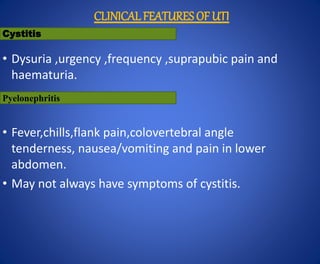PowerPoint on Urinary Tract Infections(UTI) | PPTX