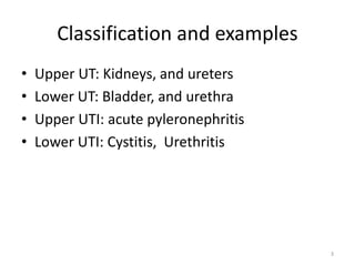 Urinary Tract Infections UTI. Diagnosis1 | PPTX | Sexual Conditions ...