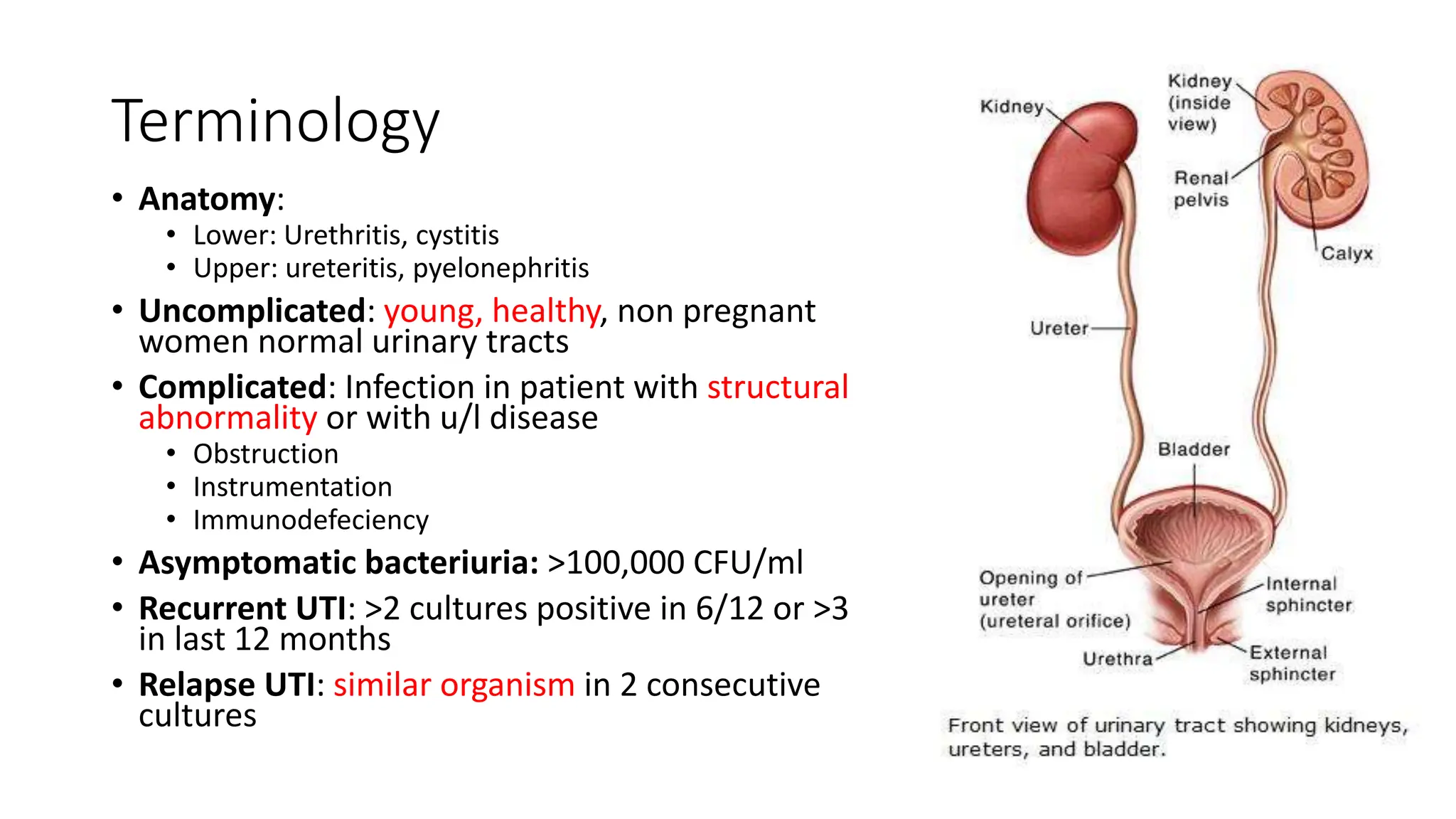 urinary tract infection UTI, infection, urinary | PPTX