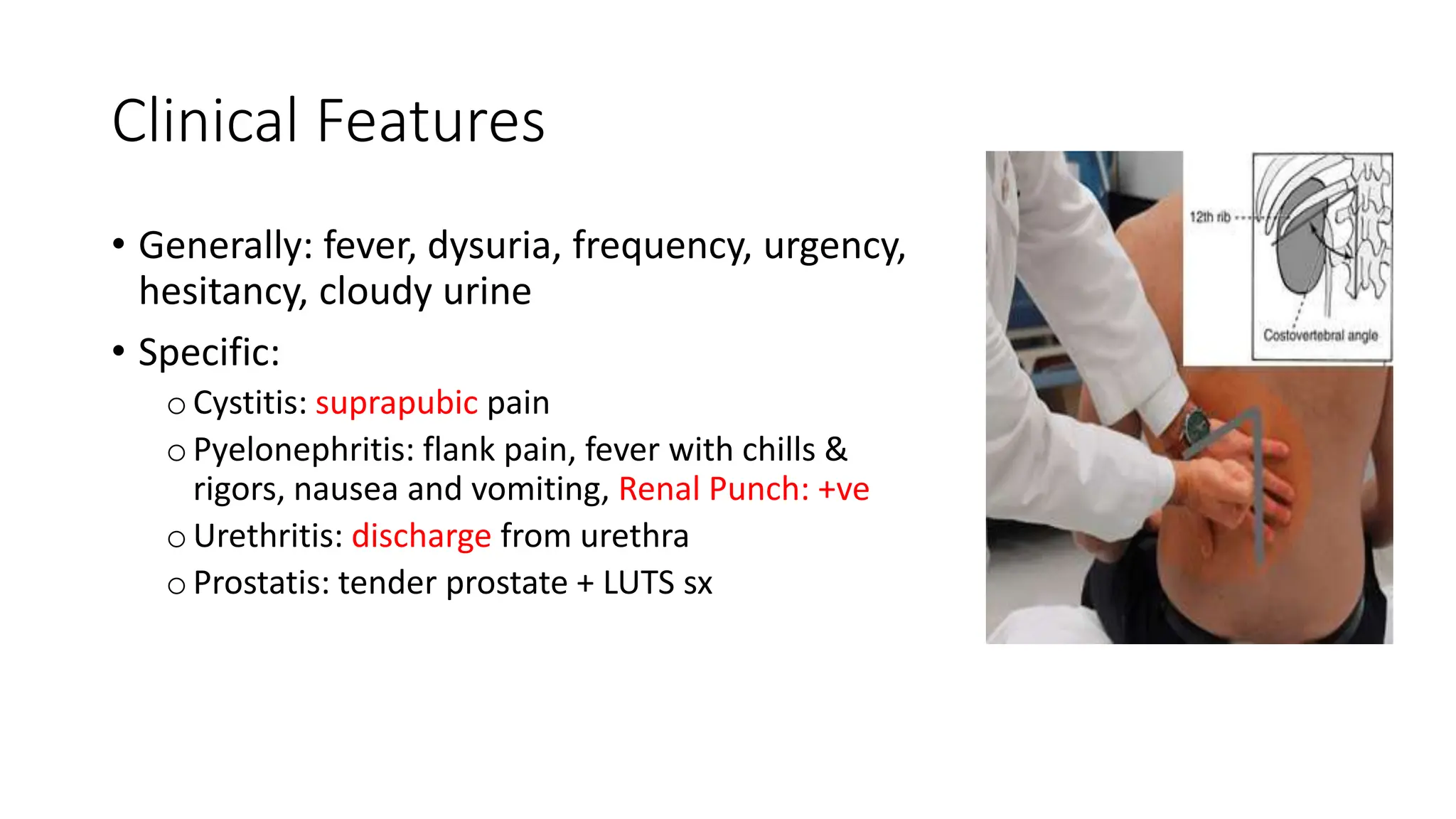 urinary tract infection UTI, infection, urinary | PPT