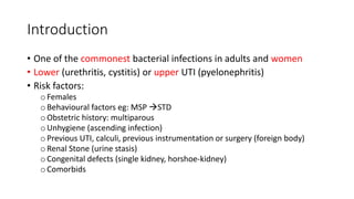 urinary tract infection UTI, infection, urinary | PPTX | Medical Health
