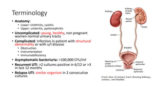 urinary tract infection UTI, infection, urinary | PPTX