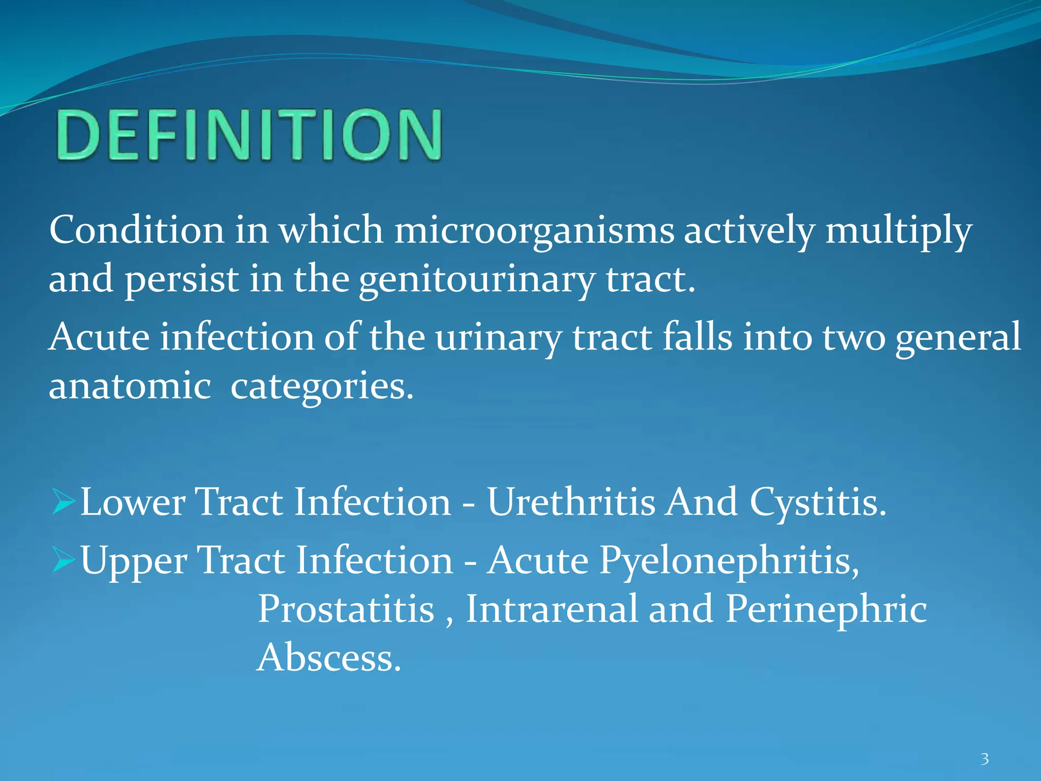 a lecture presentation about urinary tract infection | PPT