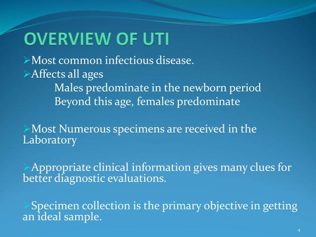 a lecture presentation about urinary tract infection | PPT