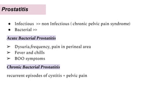 Urinary tract infection in adults and its description.pdf