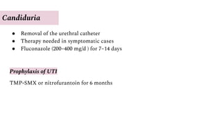 Urinary tract infection in adults and its description.pdf