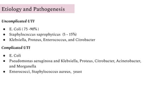 Urinary tract infection in adults and its description.pdf