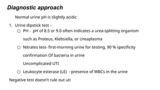 Urinary tract infections in adults and pregnancy.pptx