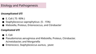 Urinary tract infections in adults and pregnancy.pptx