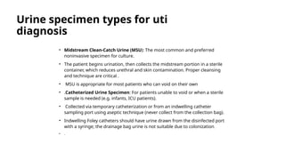 Urinary tract infection- sample collection , transport and processing ...