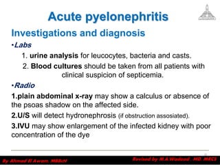 UTI | PDF | Infectious Diseases | Diseases and Conditions