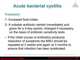 UTI | PDF | Infectious Diseases | Diseases and Conditions