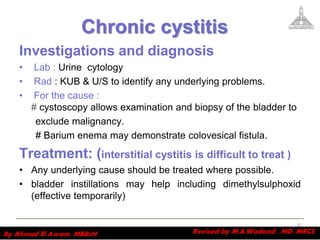 UTI | PDF | Infectious Diseases | Diseases and Conditions