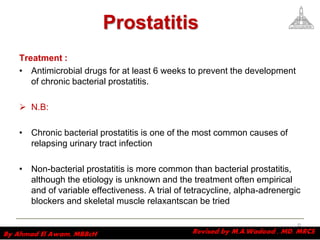UTI | PDF | Infectious Diseases | Diseases and Conditions