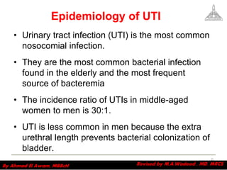 UTI | PDF | Infectious Diseases | Diseases and Conditions