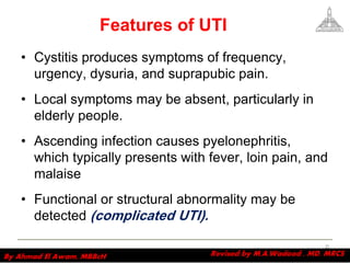 UTI | PDF