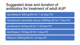 Urinary Tract Infection-Clinical Practice Guidelines-2023.pdf