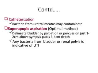 urinary tract infection | PPT