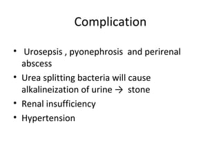 urinary tract infection | PPT