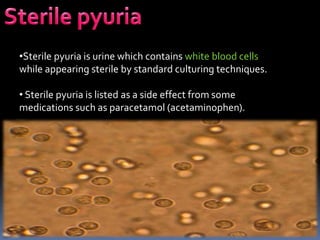 urinary tract infections-Lab diagnosis (e.coli, klebsilla, proteus ...