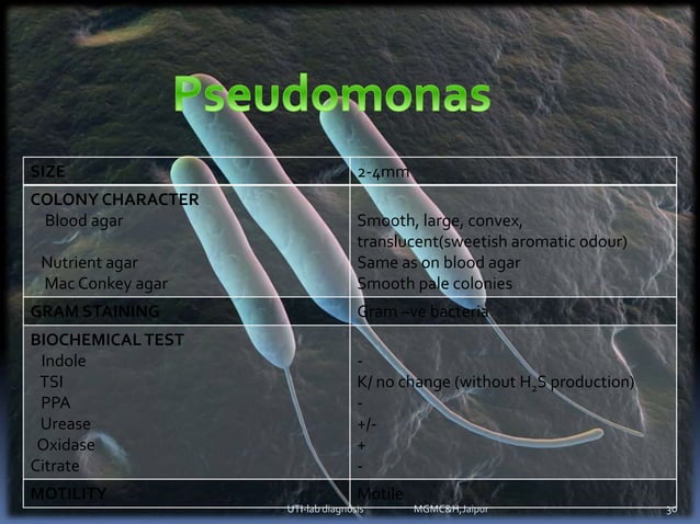 urinary tract infections-Lab diagnosis (e.coli, klebsilla, proteus ...