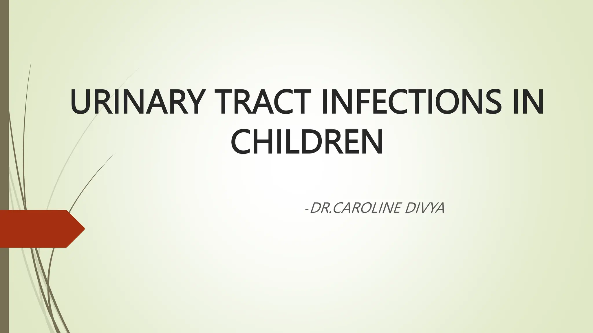Urinary Tract Infection - presentation.pptx